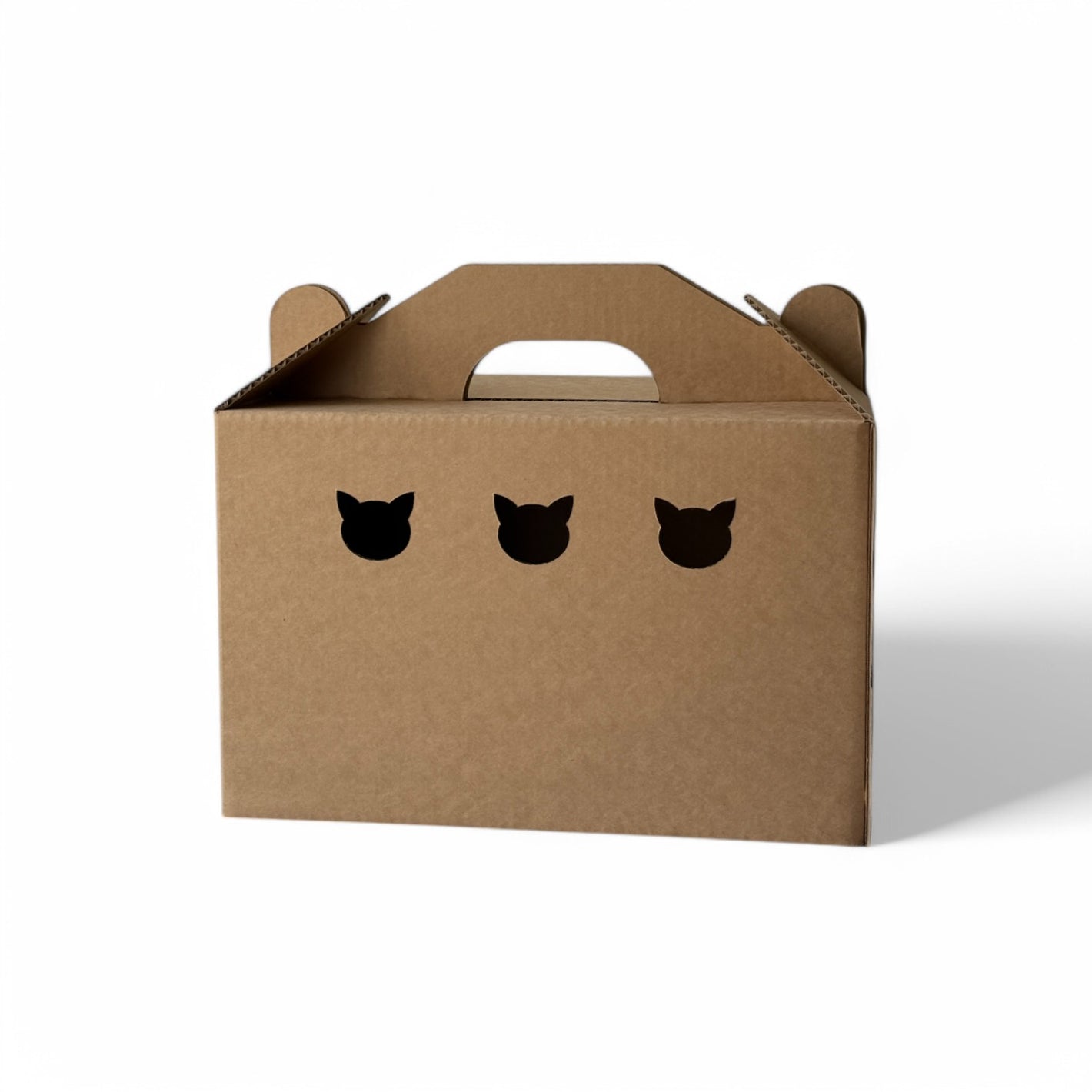Our Work – Custom Cartons
